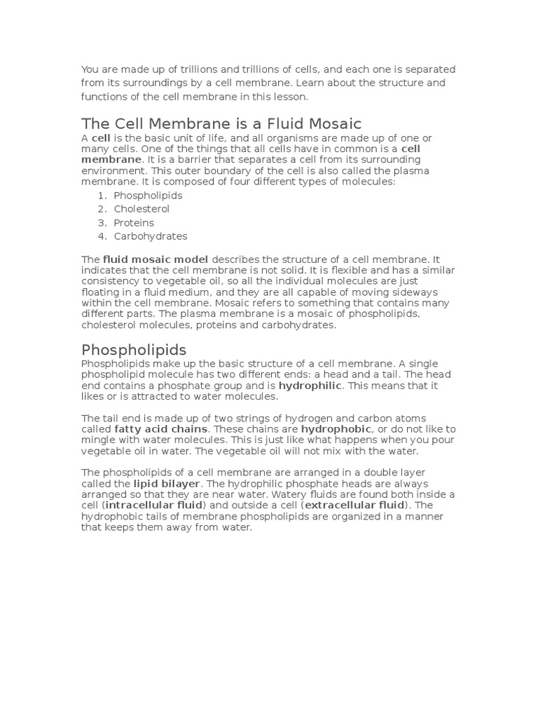 Fluid Mosaic Model | PDF | Cell Membrane | Lipid Bilayer