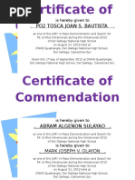 Pageant Runner-Up Certificate Template | PDF | Home & Garden
