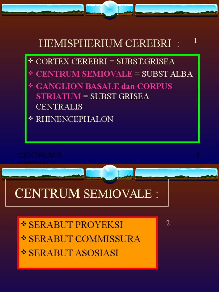 Centrum Semiovale, Ganglion Basale | PDF