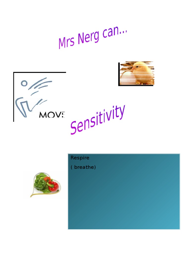 Mrs Nerg | PDF