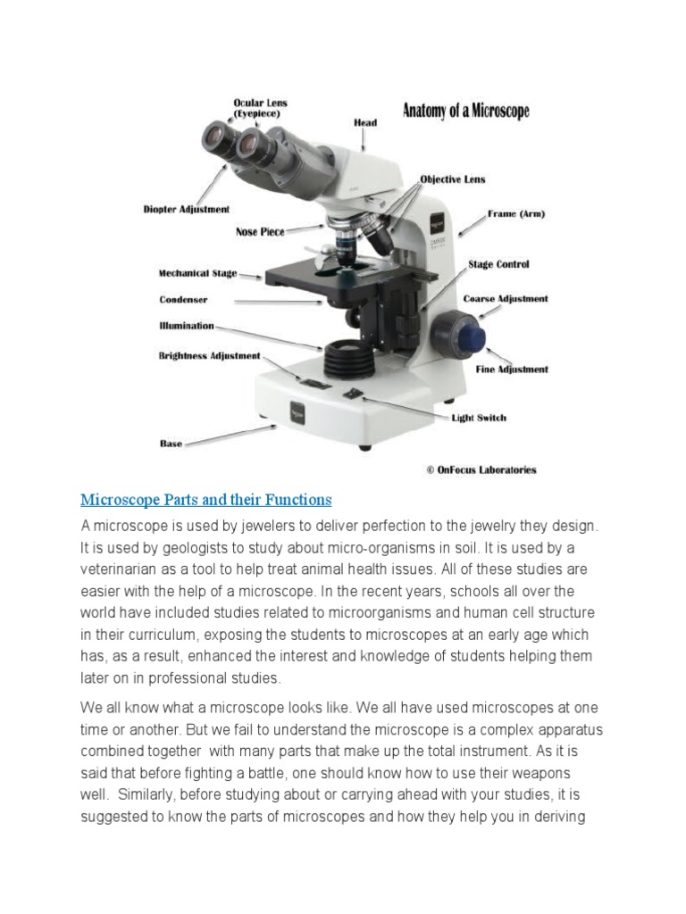 Microscope Parts and Their Functions | PDF | Microscope | Lens (Optics)