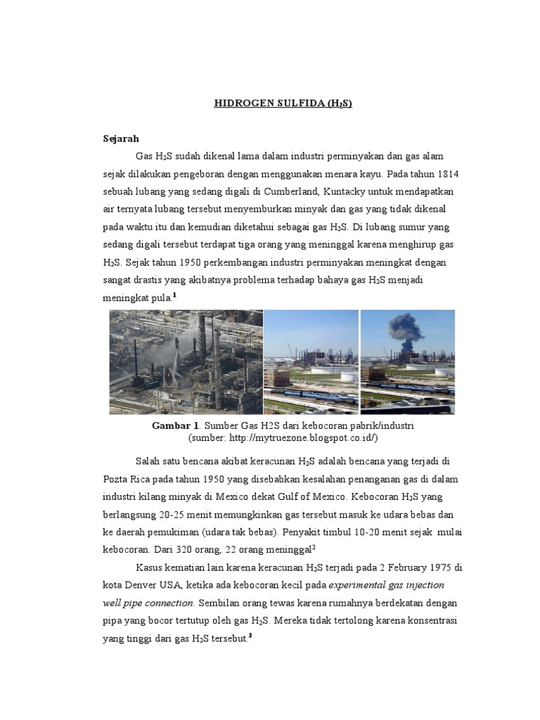 Hidrogen Sulfida (H2S) Edi Fix | PDF