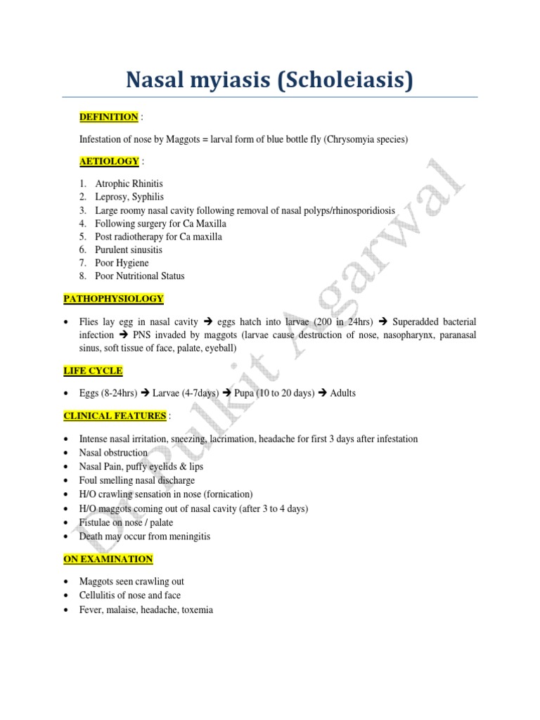 Nasal Myiasis (Scholeiasis) : Definition | PDF