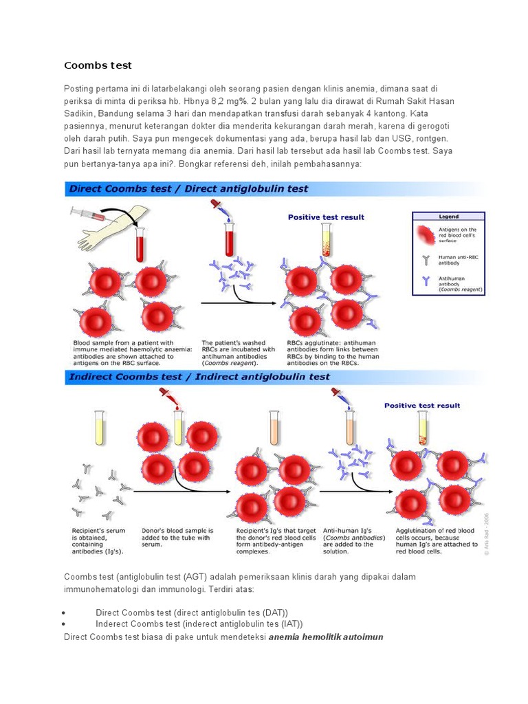Pemahaman Coombs Test untuk Anemia | PDF | Pengembangan Diri | Sains ...