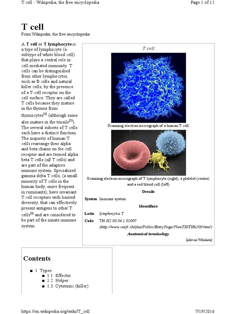 T cell: From Wikipedia, the free encyclopedia