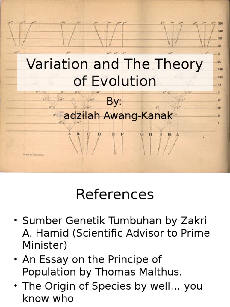 Understanding Variation in Evolution | PDF | Natural Selection | Evolution