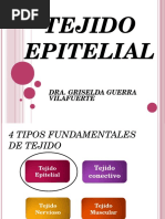05 Tejidos Epiteliales III Especializaciones Del Dominio Basolateral ...