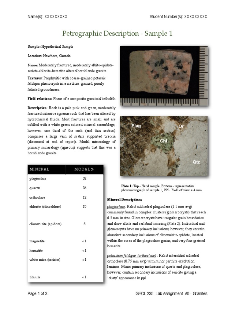 Petrographic Analysis of Hornblende Granite | PDF | Granite | Igneous Rock