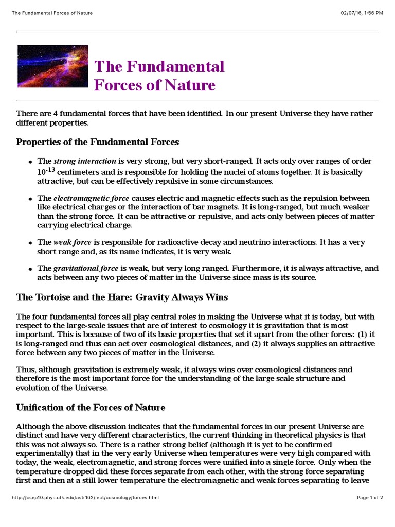 The Fundamental Forces of Nature | PDF | Business
