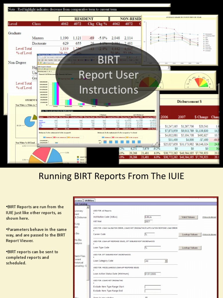 BIRT Report Instructions | Parameter (Computer Programming) | Hyperlink | Free 30-day Trial | Scribd