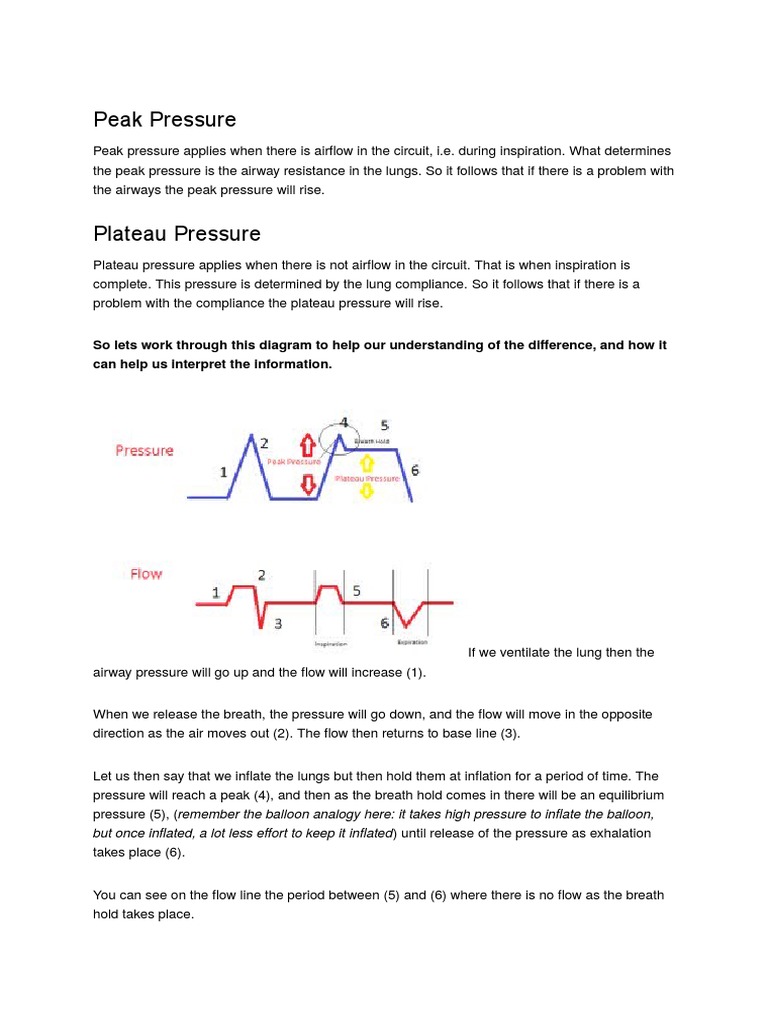Peak Pressure and Peak Plateau | Breathing | Respiration