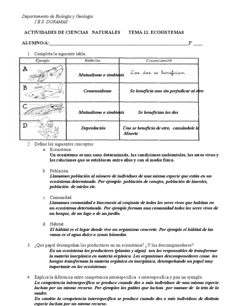Respuestas De La Hoja De Trabajo Sobre Ecosistemas