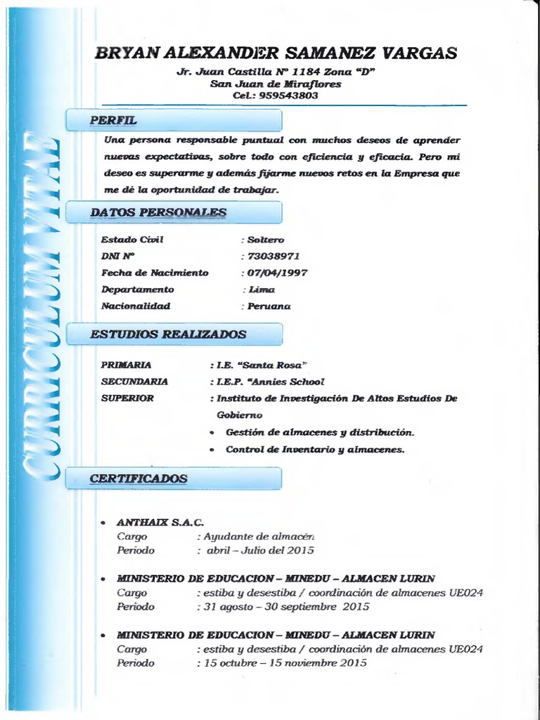 Curriculum Bryan Samanez | PDF | Science | Tecnología (general)