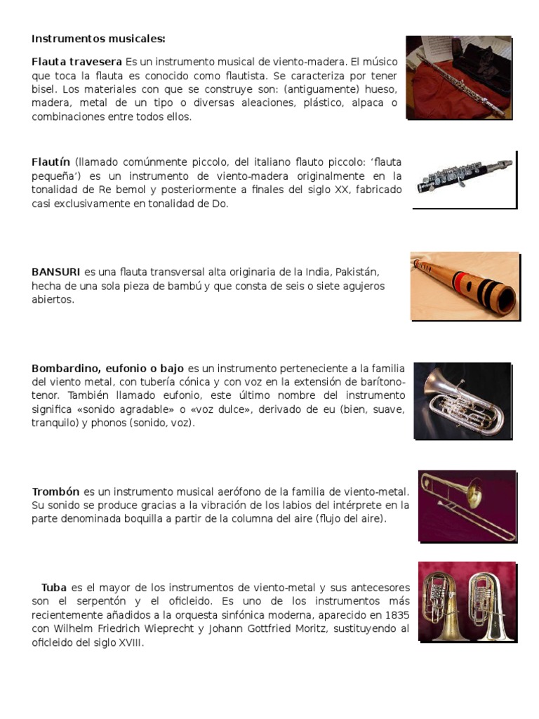 Instrumentos Musicales | PDF | Saxofón | Guitarras