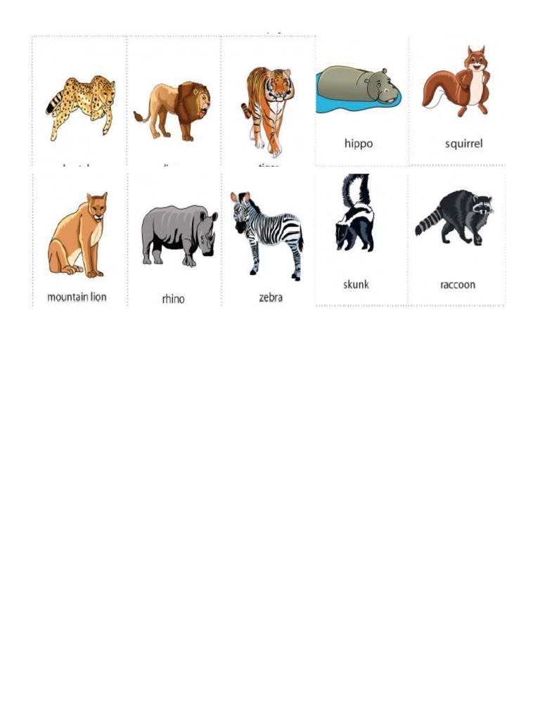 50 Animales de Todo Tipo en Ingles y Español | PDF