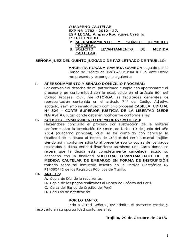 Levantamiento De Medida Cautelar Pdf 5956