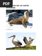 Mapa de la Costa Peruana | PDF