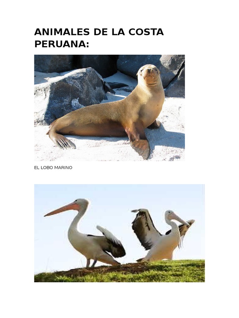 Animales de La Costa Peruana | PDF | Ciencias sociales