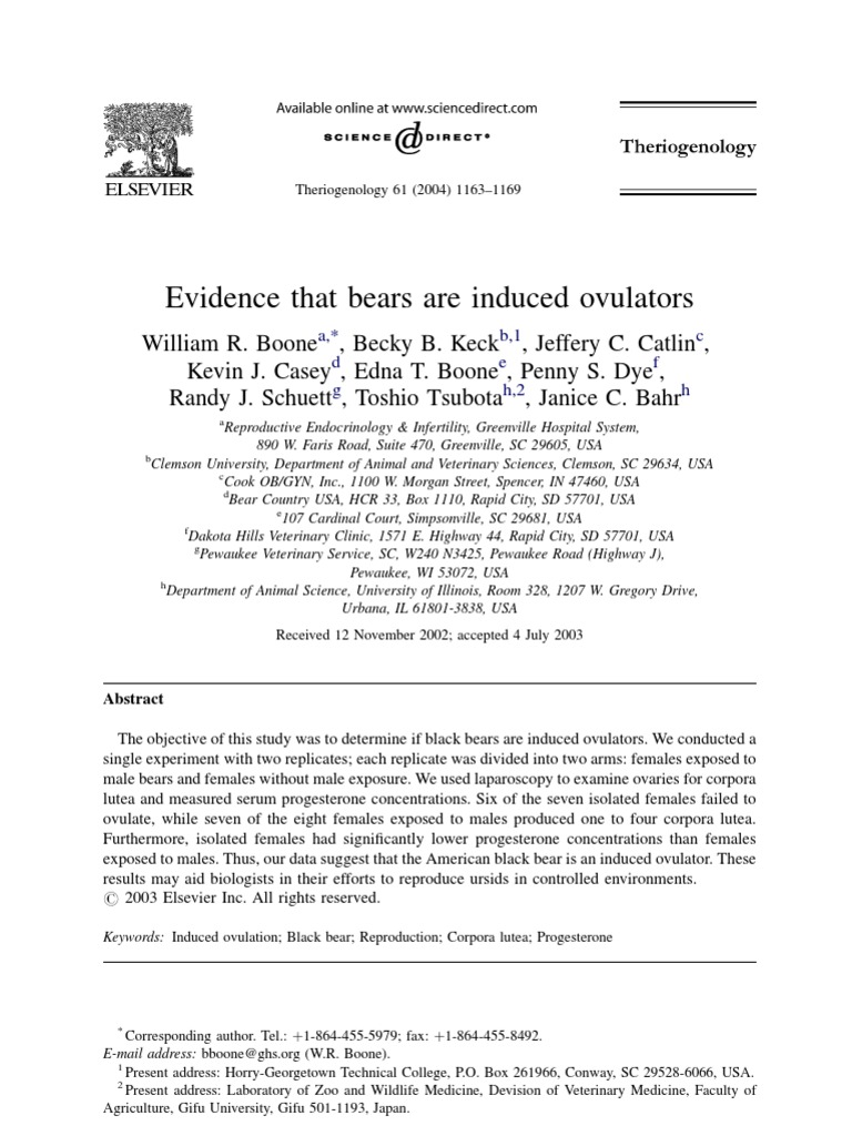 Induced Ovulation in Black Bears | PDF | Progesterone | Bears