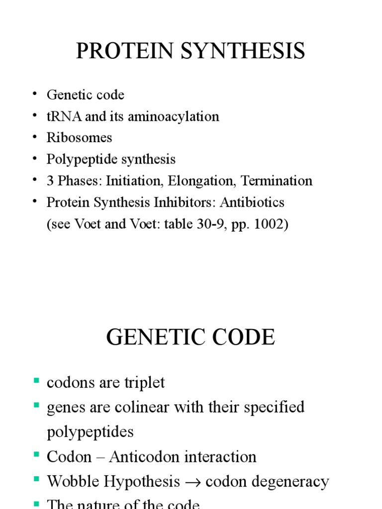 Understanding Protein Synthesis Process | PDF
