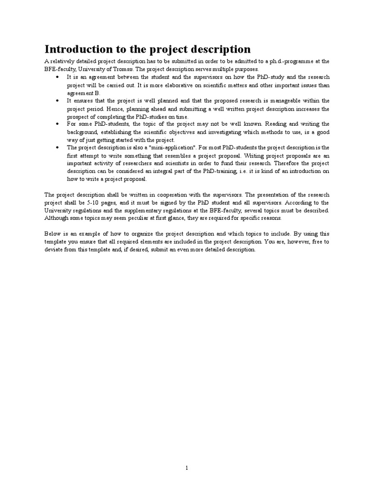 Project Description Template - BFE | PDF | Career & Growth