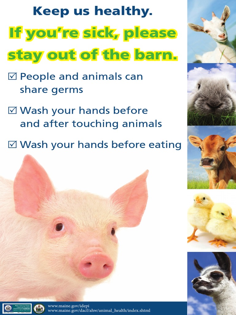 Keep Animals Healthy Poster 2015 | PDF
