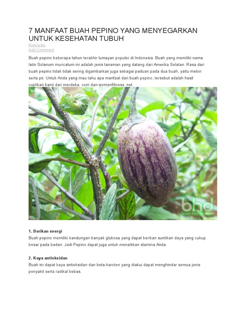 7 Manfaat Buah Pepino Yang Menyegarkan Untuk Kesehatan Tubuh | PDF