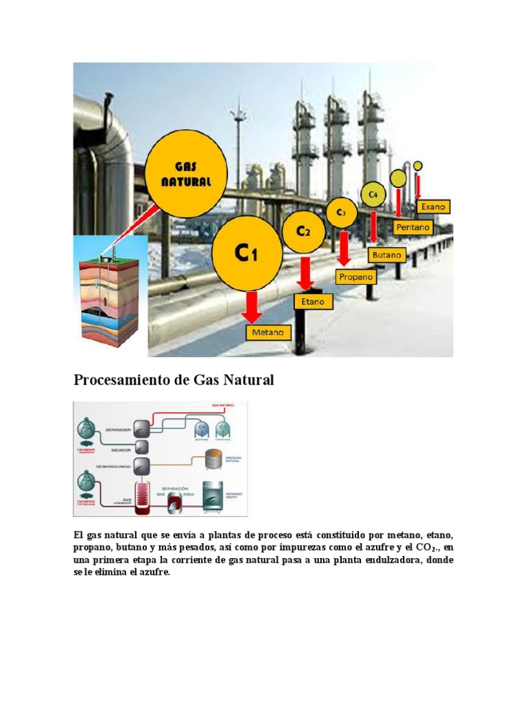 Procesamiento y Fraccionamiento de Gas | PDF