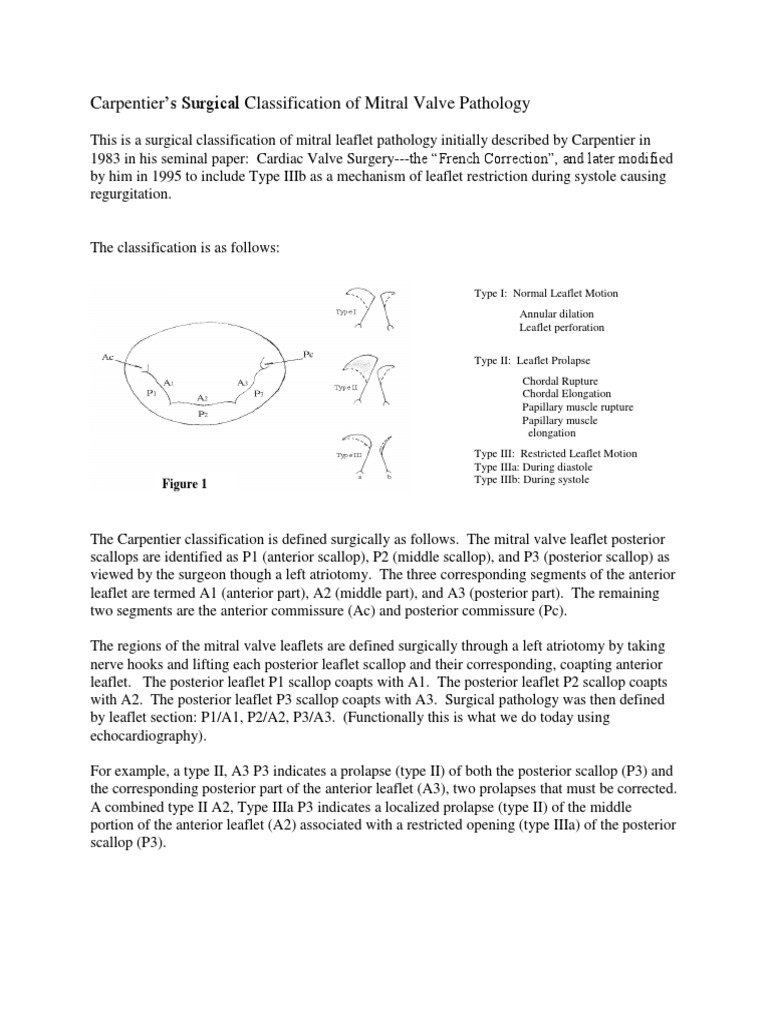 Carpentier Classification of Mitral Valve | Heart Valve | Thorax (Human ...