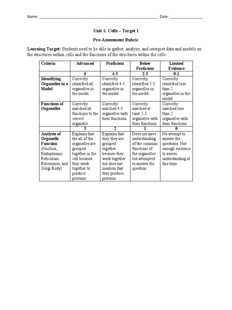 Unit 1 Rubric | PDF