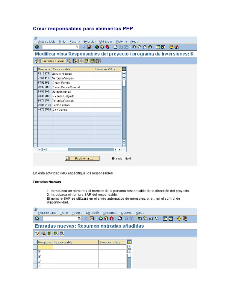 Crear Responsables para Elementos PEP | PDF