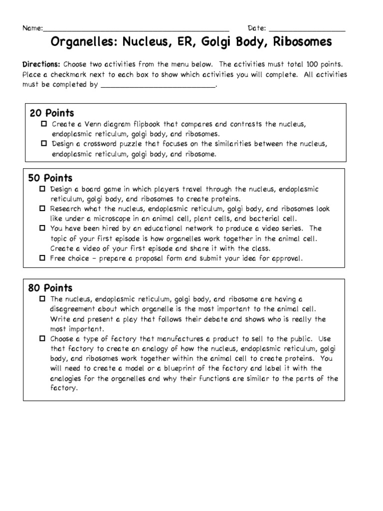 Nucleus Choice Menu | PDF