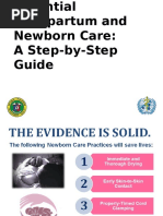 BEmONC and CEmONC | PDF | Maternal Health | Childbirth