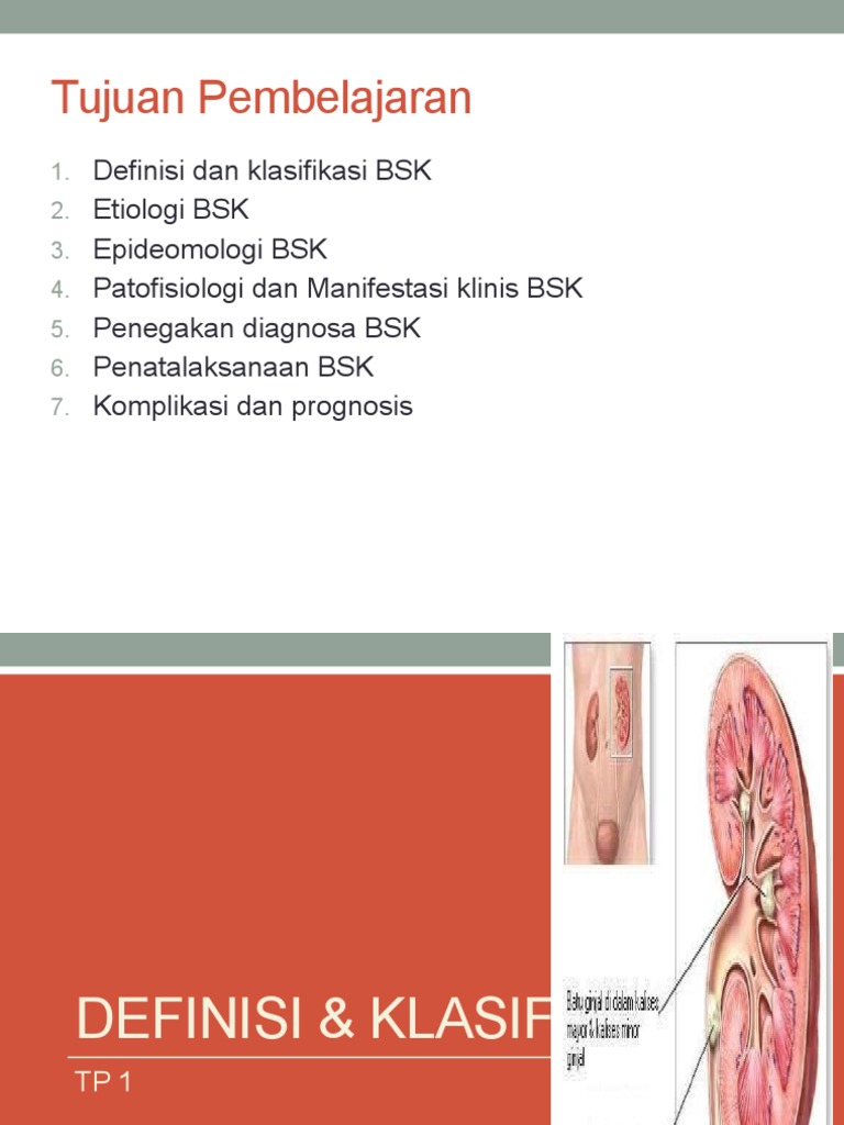 Tutor 4 - Urolithiasis | PDF