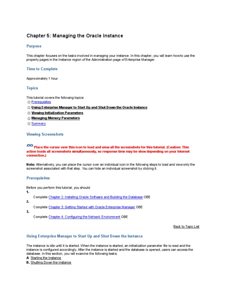 Oracle Instance Management Guide | PDF | Oracle Database | Databases