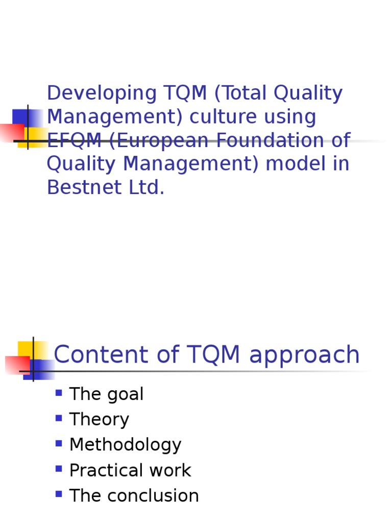 TQM Culture in Bestnet Ltd. | PDF