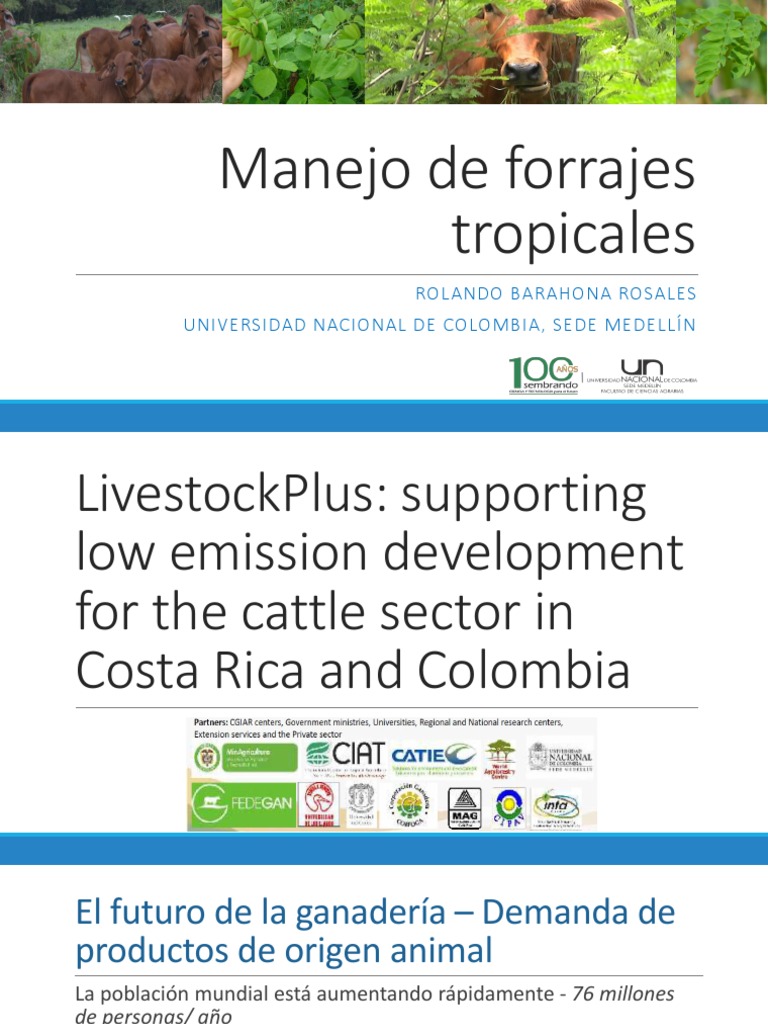 Manejo de Forrajes Tropicales | PDF | Rumiante | Vacas