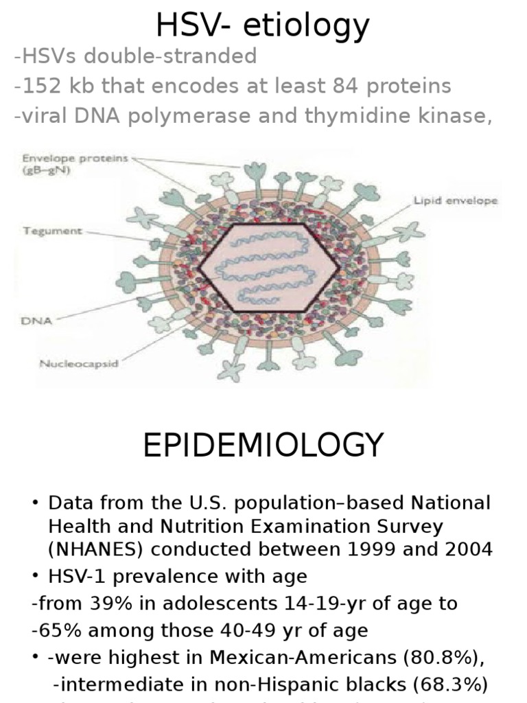 Hsvs Double-Stranded - 152 KB That Encodes at Least 84 Proteins - Viral ...