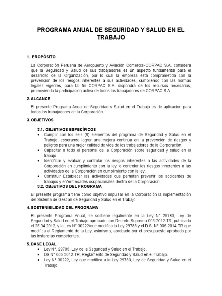 Programa Anual de Seguridad y Salud en El Trabajo | PDF | Seguridad y ...