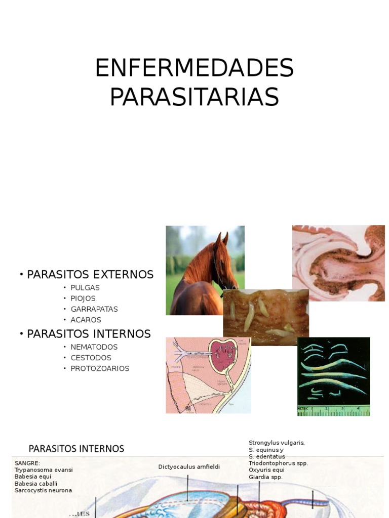 Enfermedades Parasitarias | PDF | Especialidades Medicas | Enfermedades ...