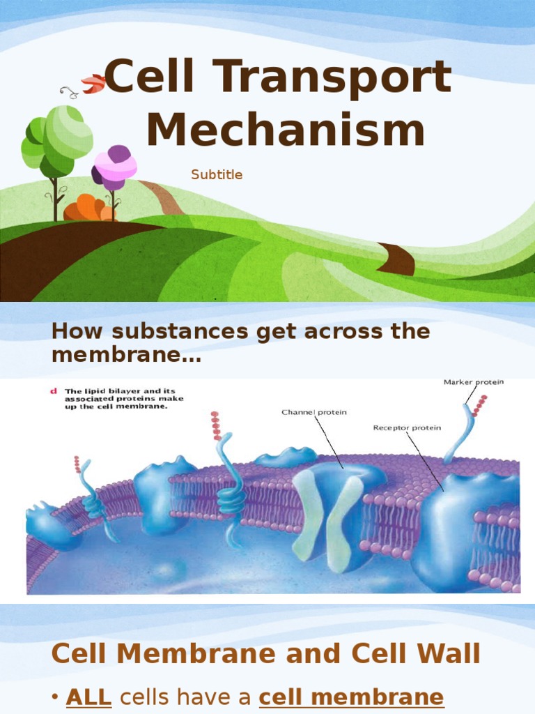 p3- Cellular Transport Mechanism | Cell Membrane | Ion Channel