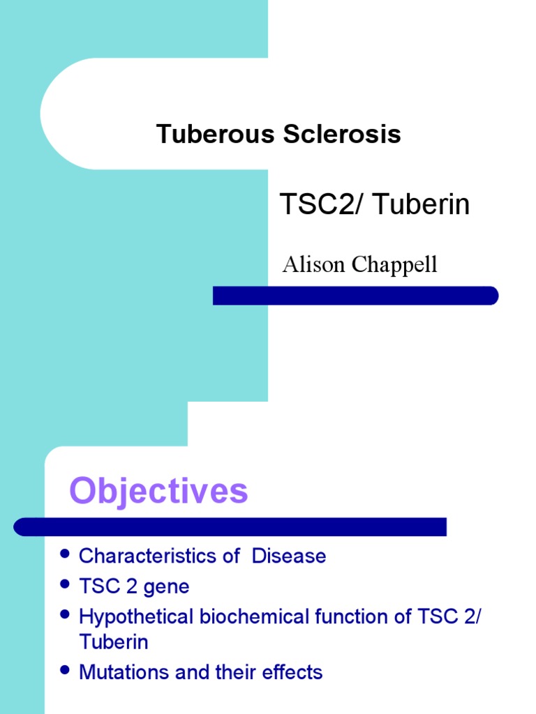 Tuberous Sclerosis: TSC2/ Tuberin | PDF | Mechanistic Target Of ...
