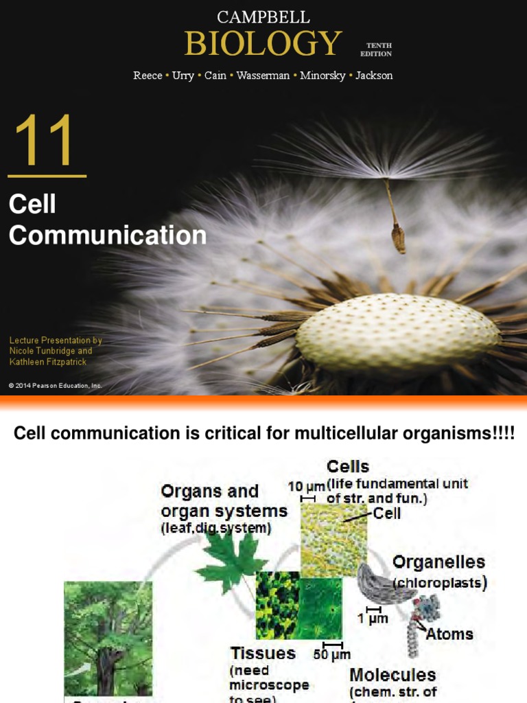 Biology Biology: Cell Communication | PDF | Cell Signaling | Signal ...