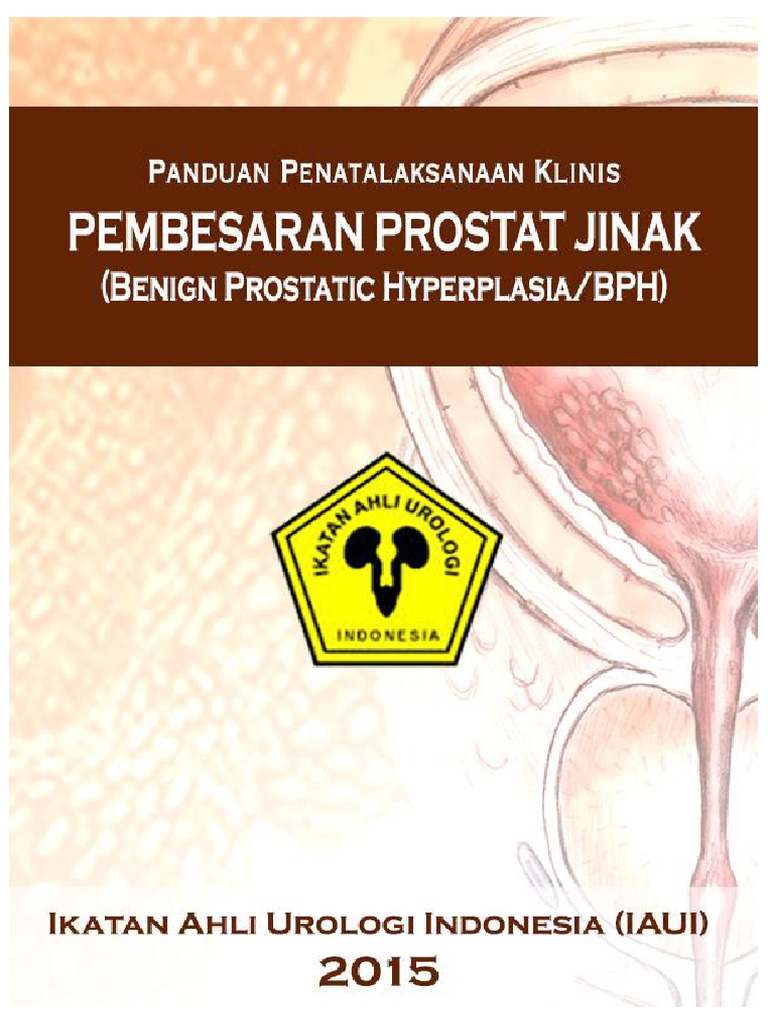 Guideline BPH (2015) PDF | PDF | Pengembangan Diri | Kesehatan Holistik