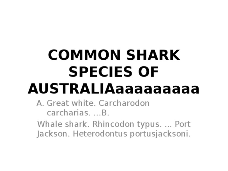 Common Shark Species in Australia | PDF | History