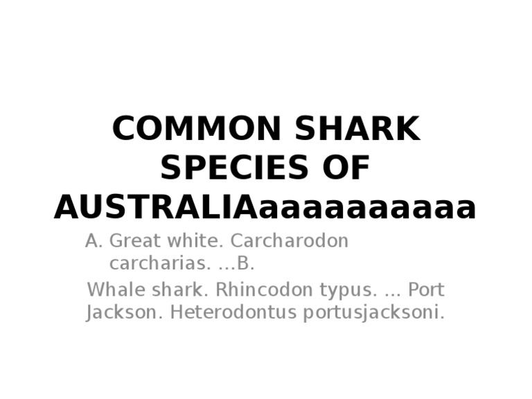 Common Shark Species in Australia | PDF | Social Science | Young Adult