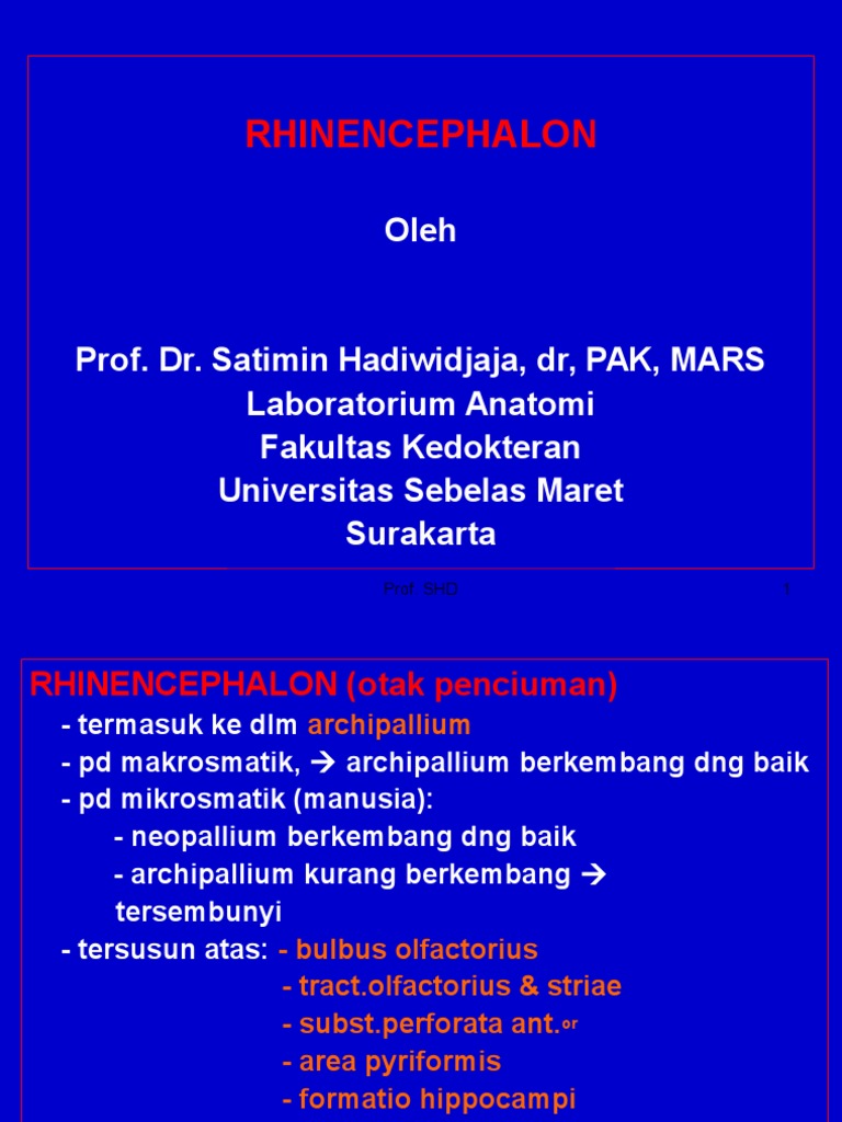 Power Point Rhinencephalon | PDF