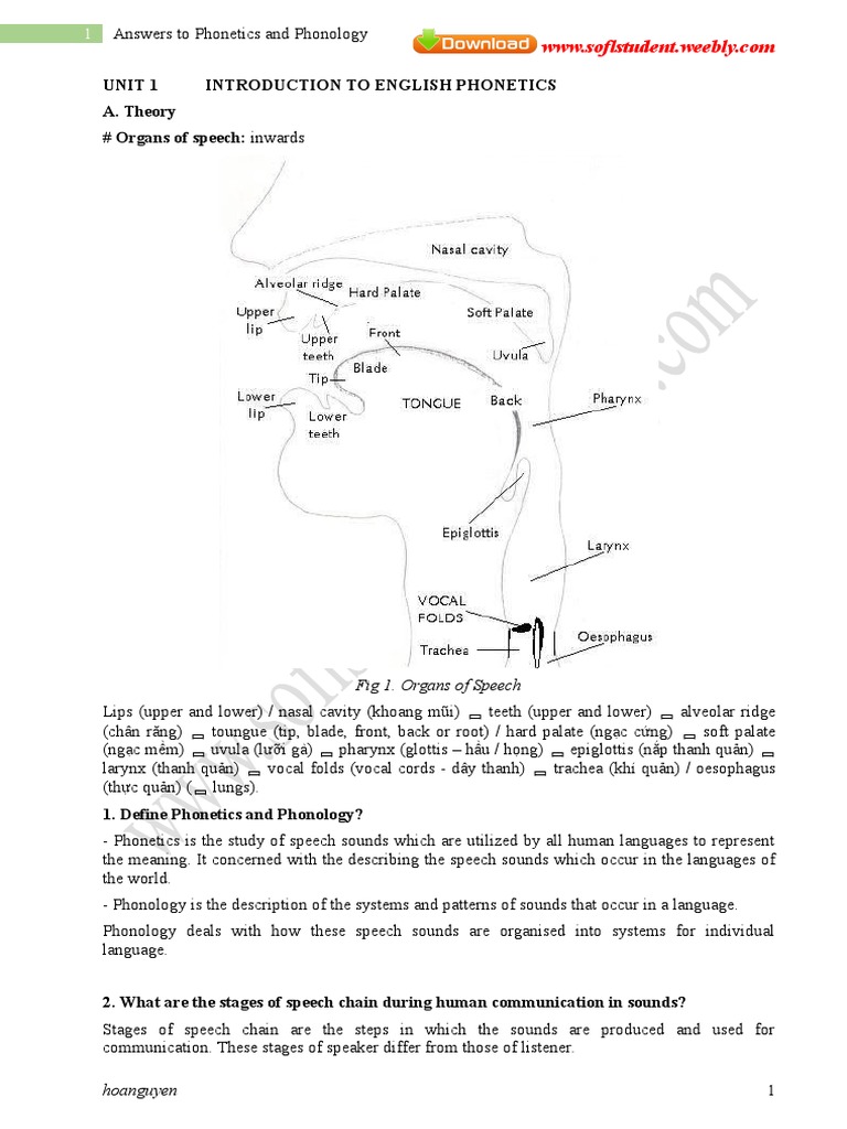 An Analysis of English Speech Sounds According to Place and Manner of ...