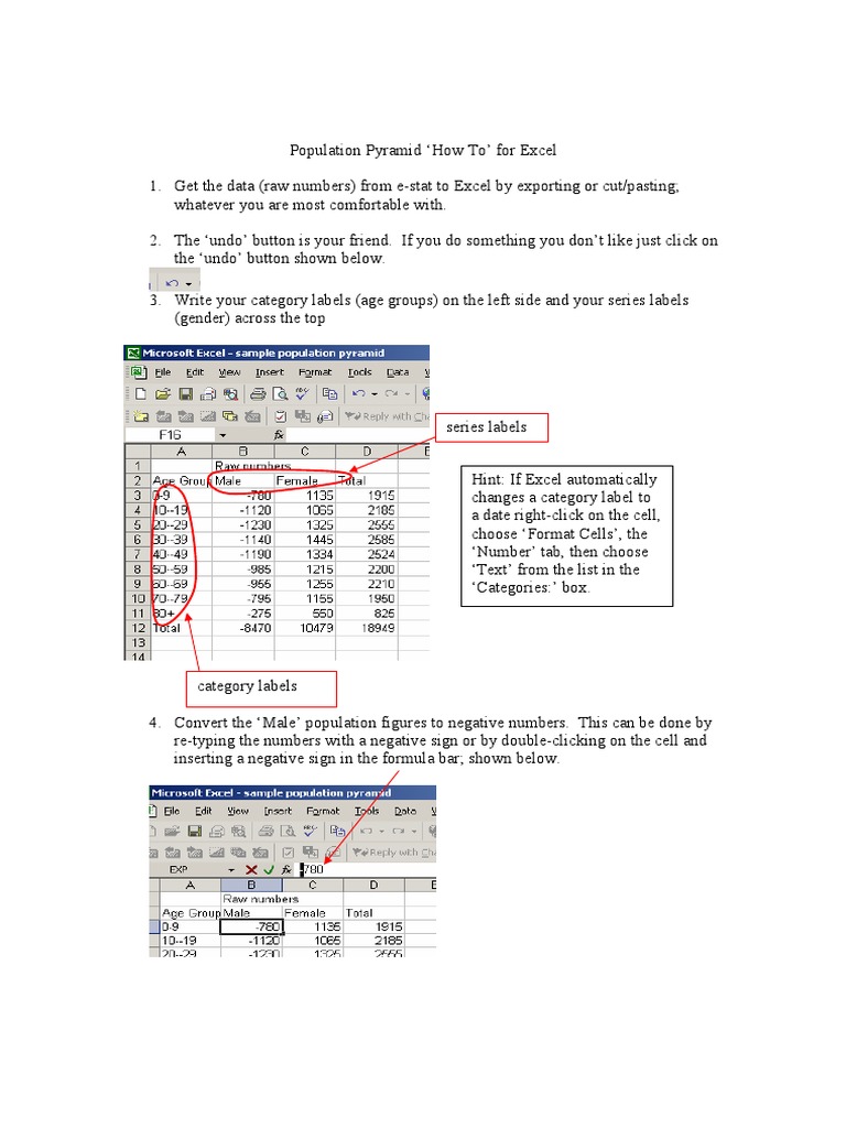 Population Pyramid How To | PDF | Microsoft Excel | Spreadsheet