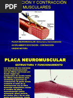 Fisiología de la Placa Motora | PDF | Unión neuromuscular | Sinapsis